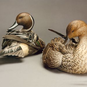 Award Winning Wildfowl Sculpture Artist - Pat Godin