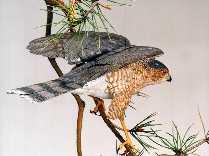 LIFE SIZE WILDFOWL SCULPTURE - Godin Art