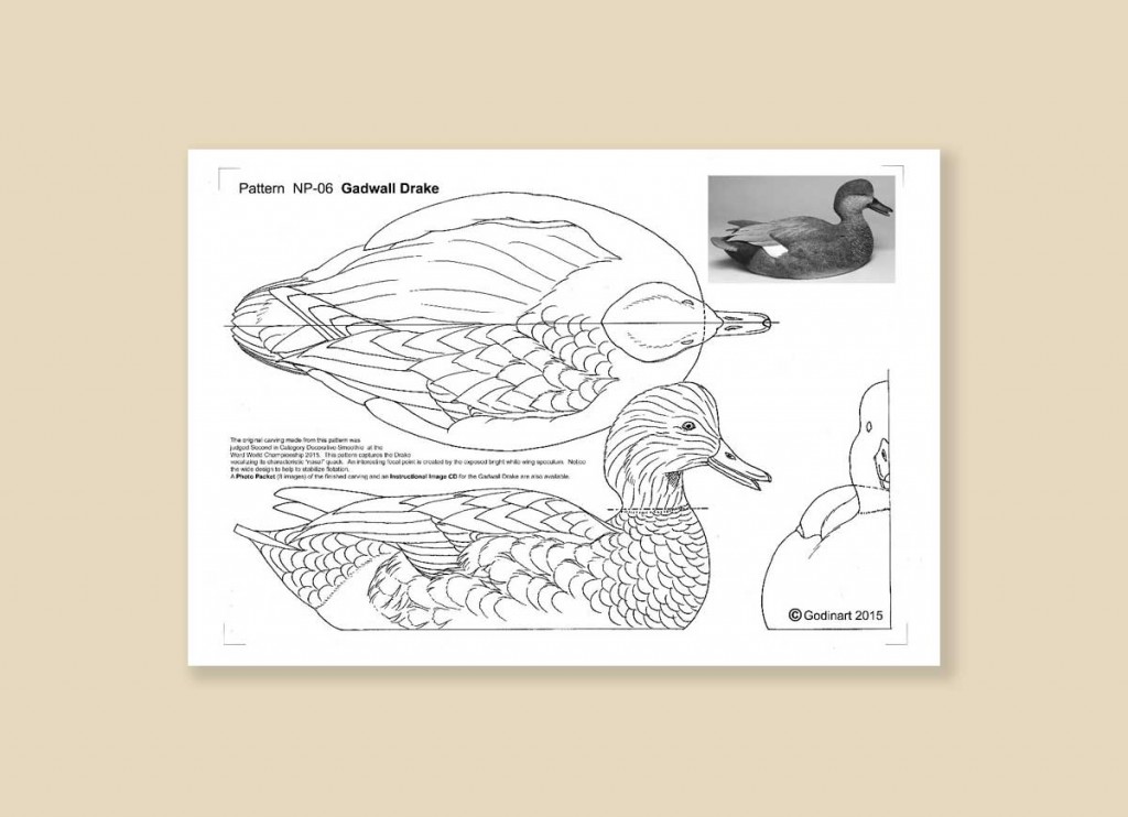 Gadwall Drake - Godin Art