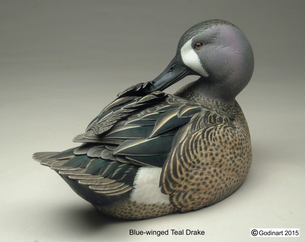 Blue Winged Teal Drake Photo Packet - Godin Art