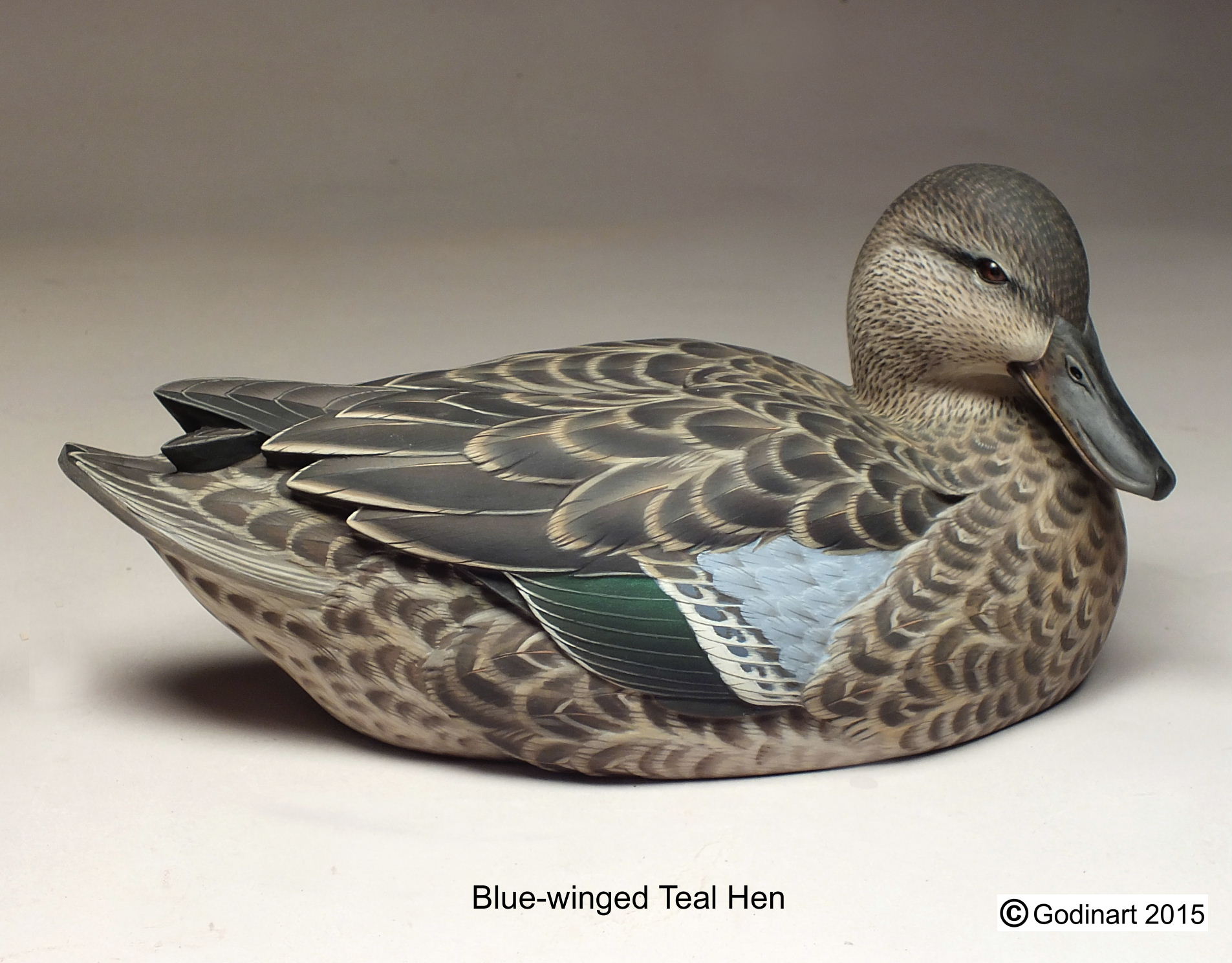 Blue-winged Teal Hen Photo Packet - Godin Art