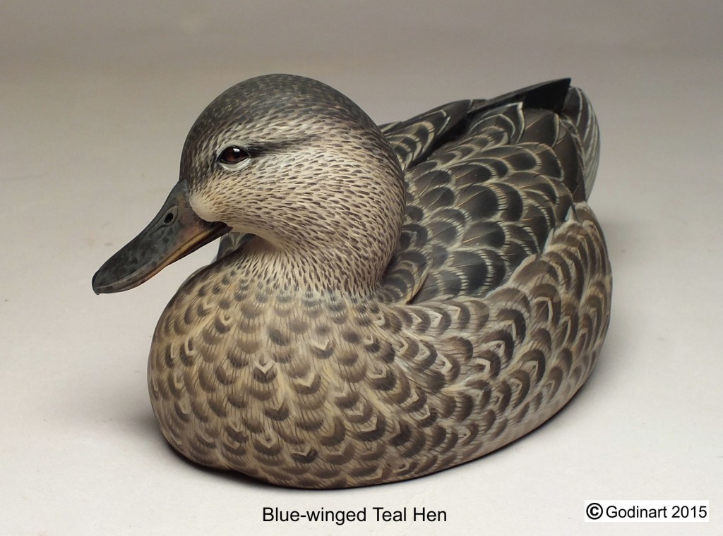 Blue-winged Teal Hen Photo Packet - Godin Art