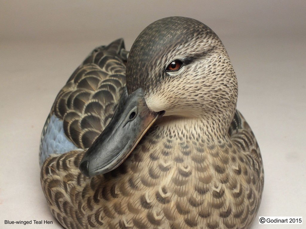 Blue-winged Teal Hen Photo Packet - Godin Art