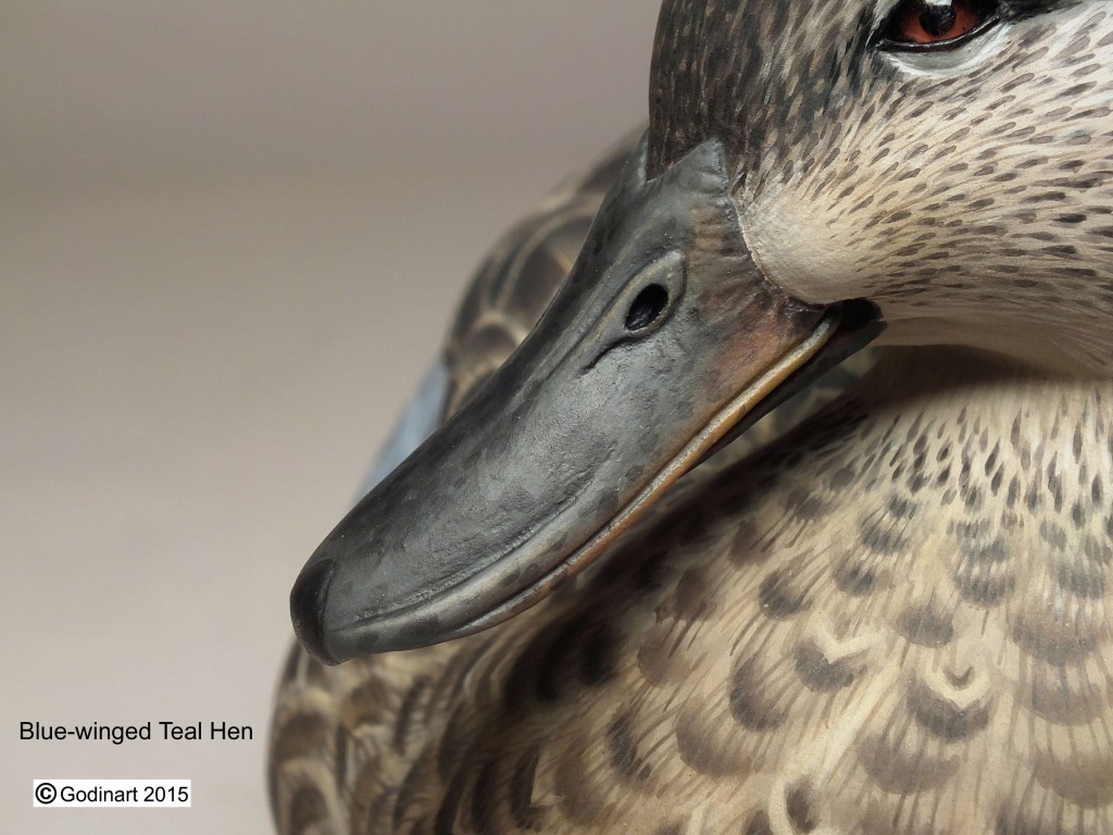 Blue-winged Teal Hen Photo Packet - Godin Art