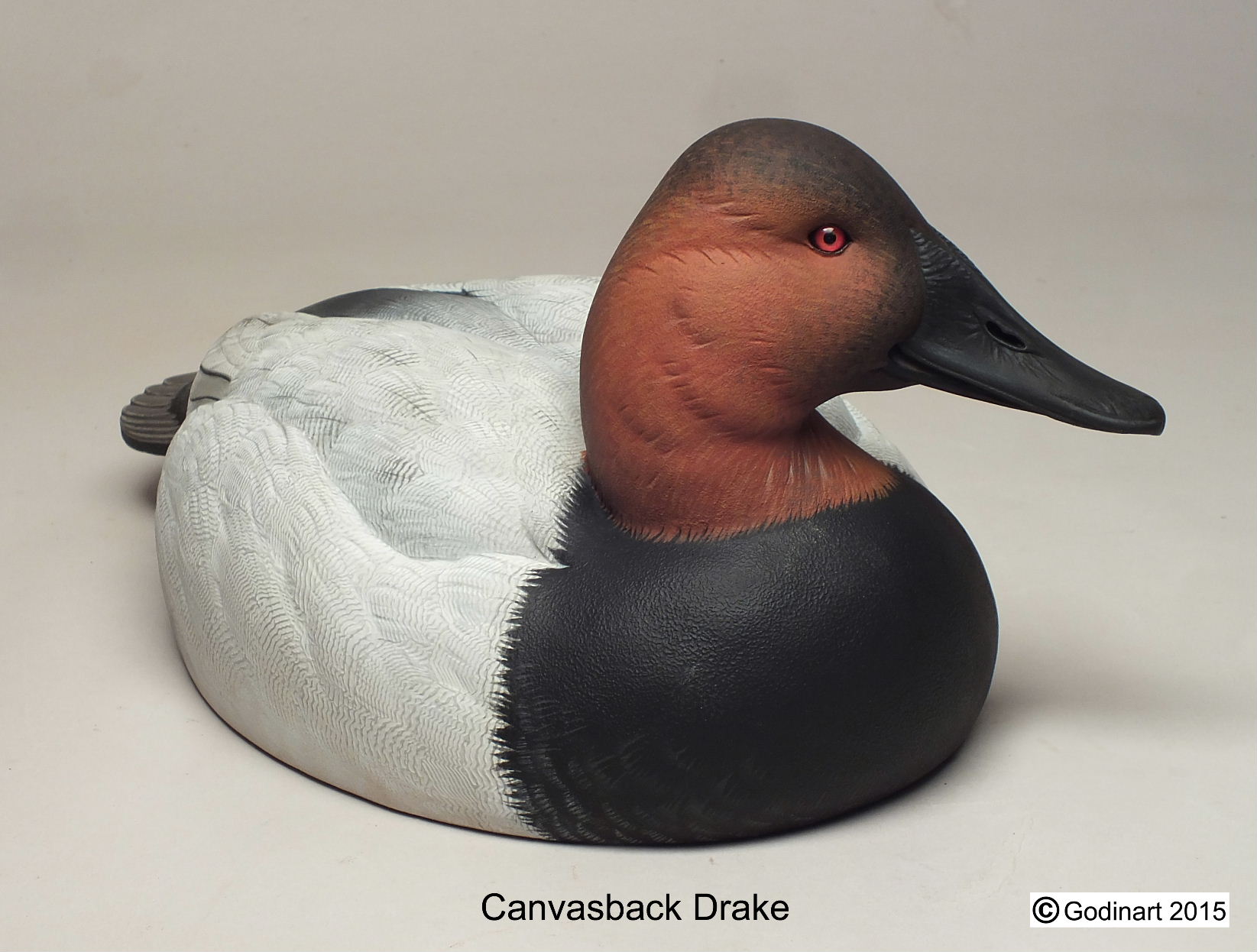 Canvasback Drake Photo Packet - Godin Art