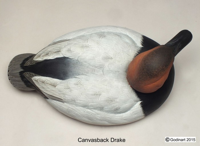 Canvasback Drake Photo Packet - Godin Art