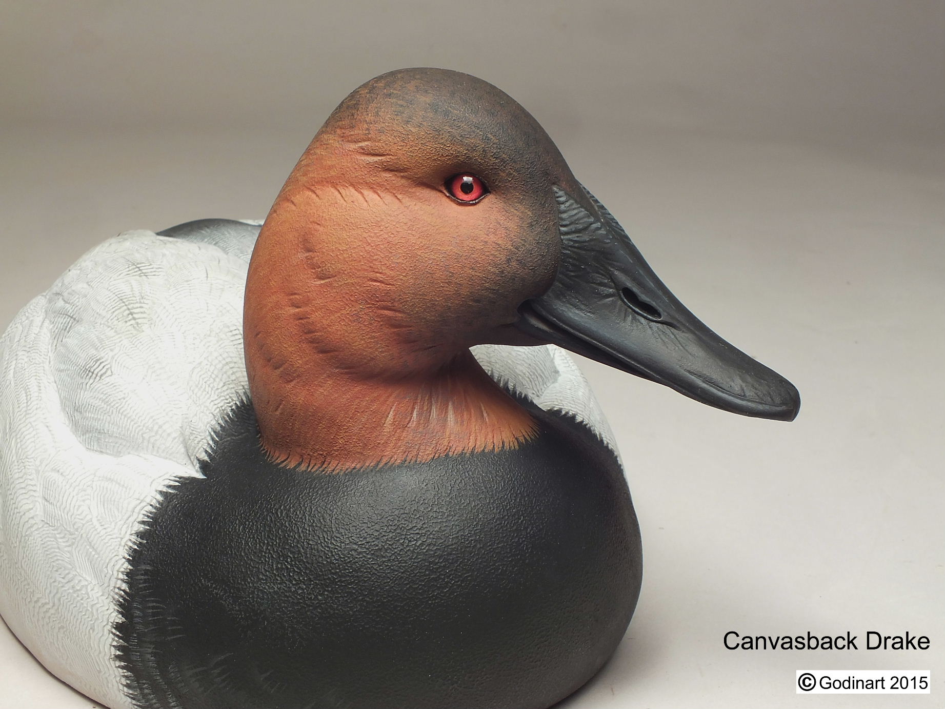 Canvasback Drake Photo Packet - Godin Art
