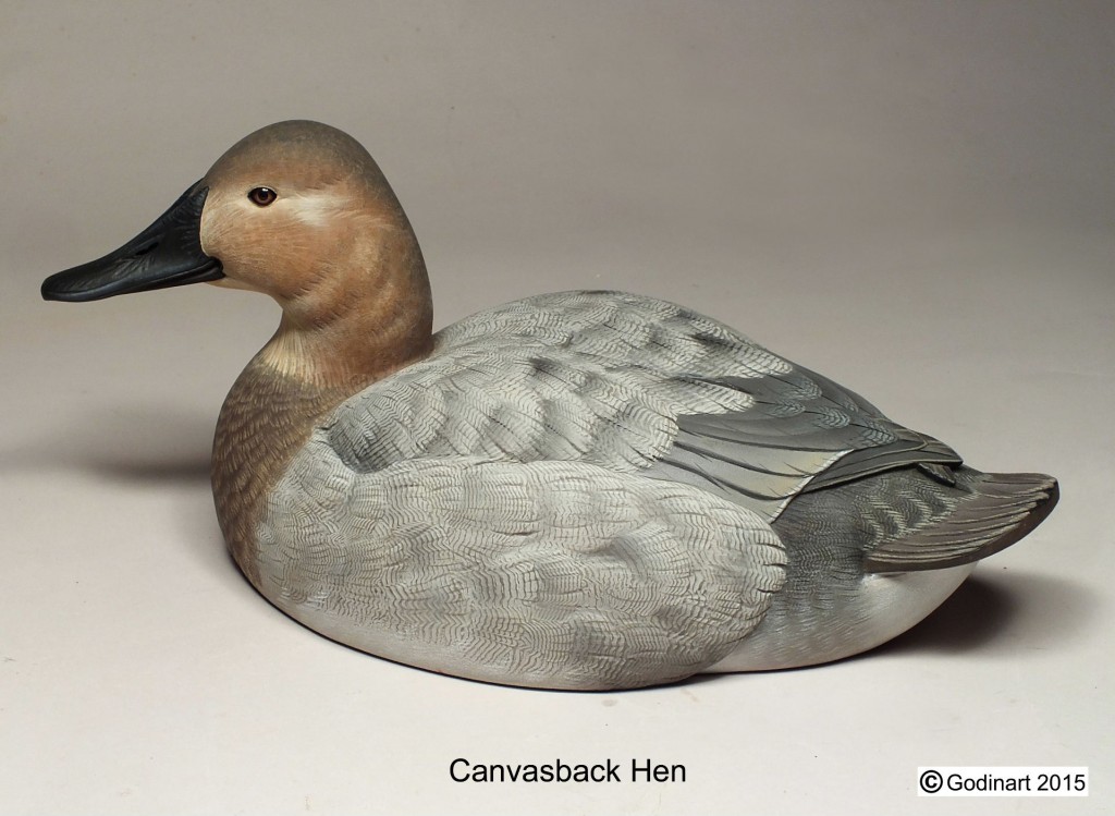 Canvasback Hen Photo Packet - Godin Art