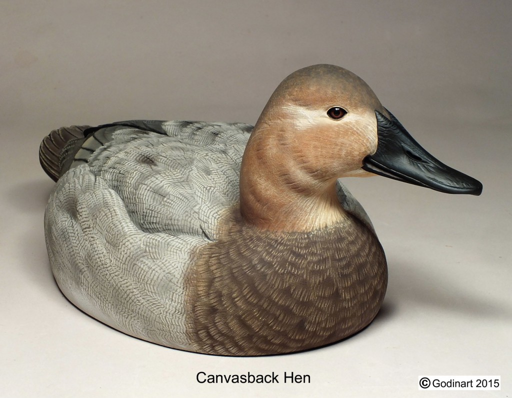 Canvasback Hen Photo Packet - Godin Art