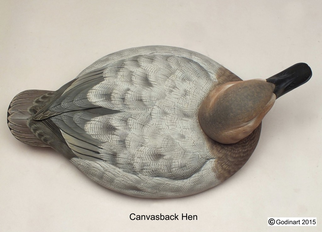 Canvasback Hen Photo Packet - Godin Art