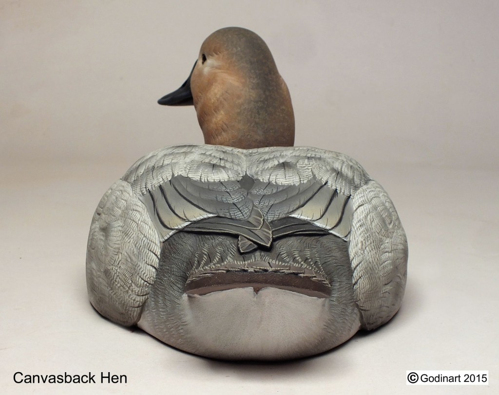 Canvasback Hen Photo Packet - Godin Art
