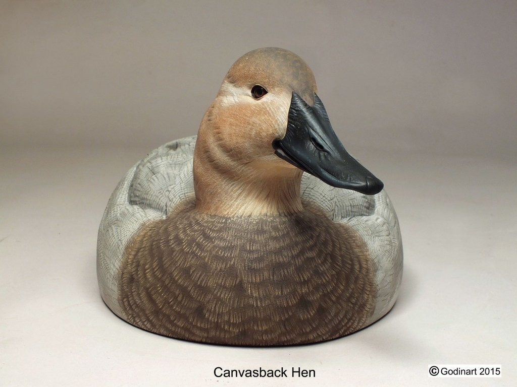 Canvasback Hen Photo Packet - Godin Art