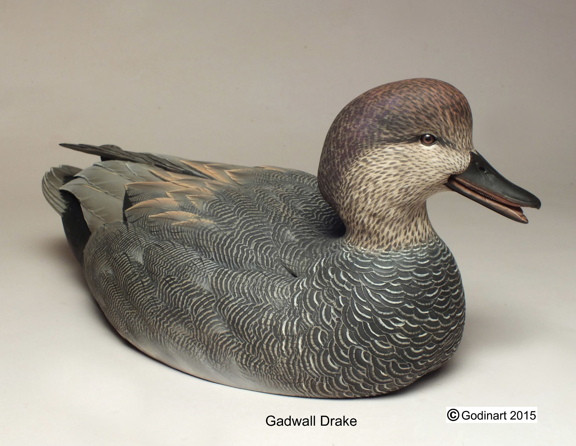 Gadwall Drake Photo Packet - Godin Art