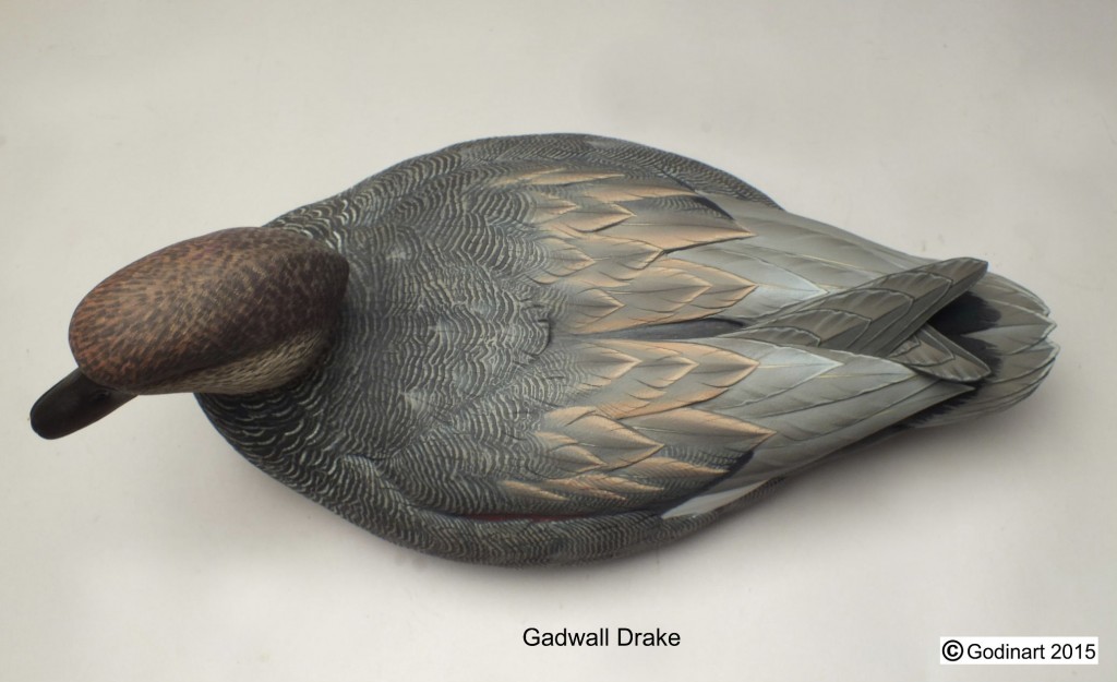 Gadwall Drake Photo Packet - Godin Art