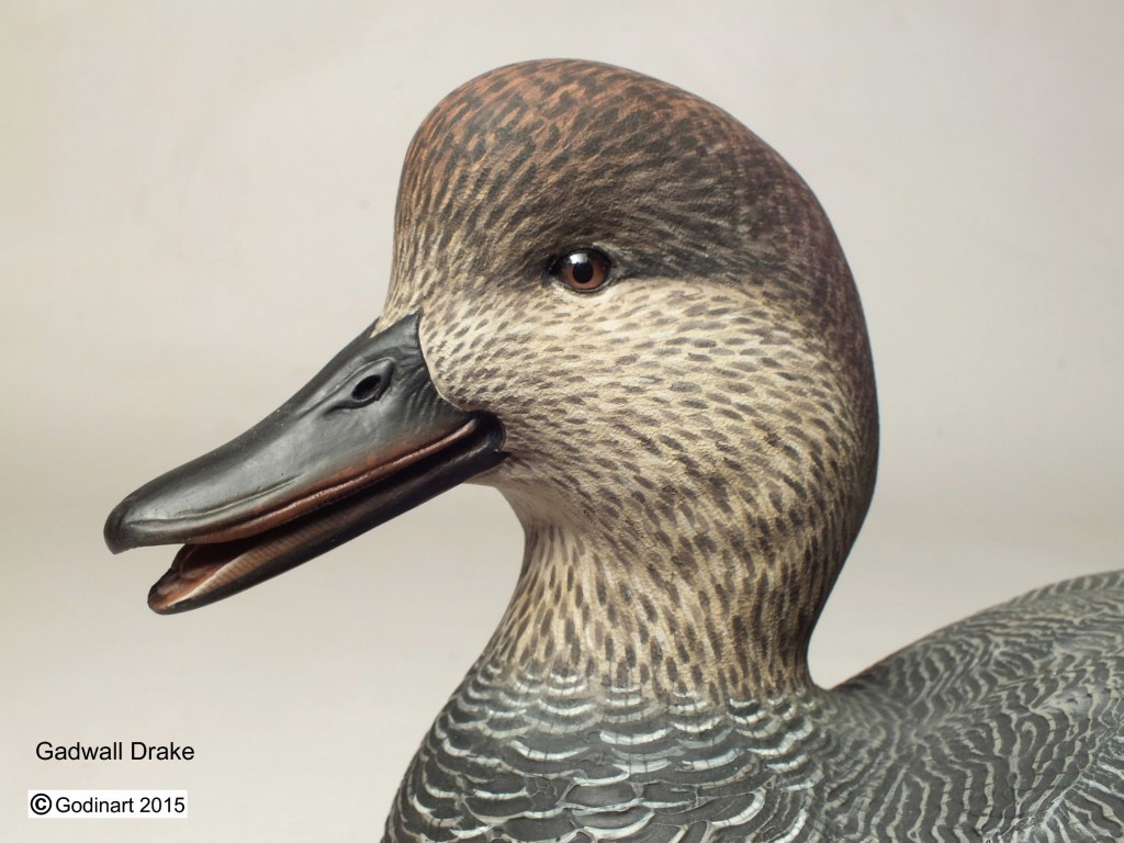 Gadwall Drake Photo Packet - Godin Art