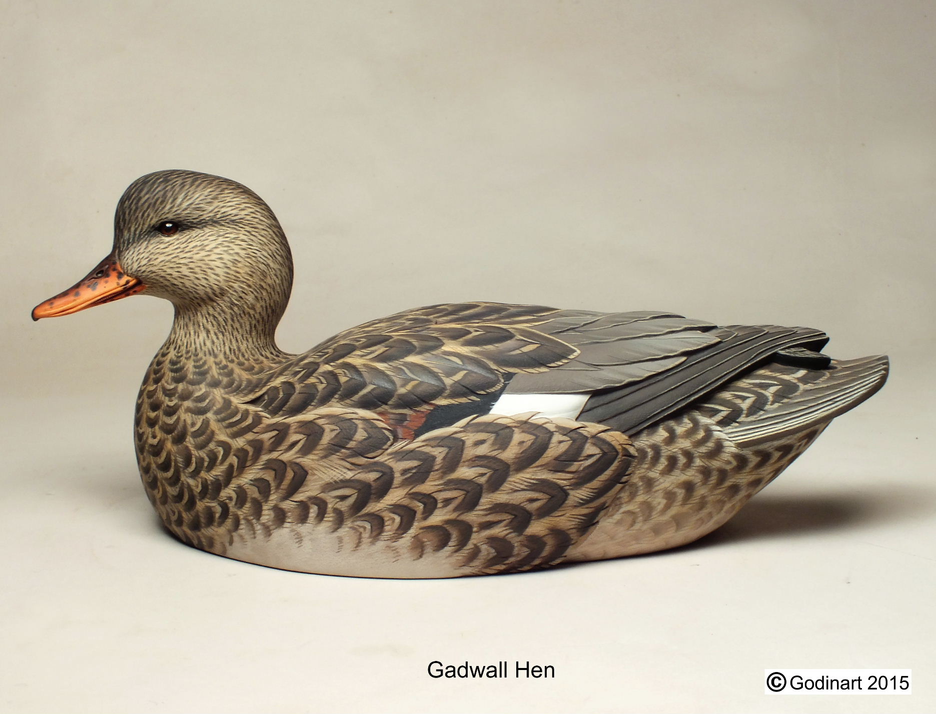 Gadwall Hen Photo Packet - Godin Art