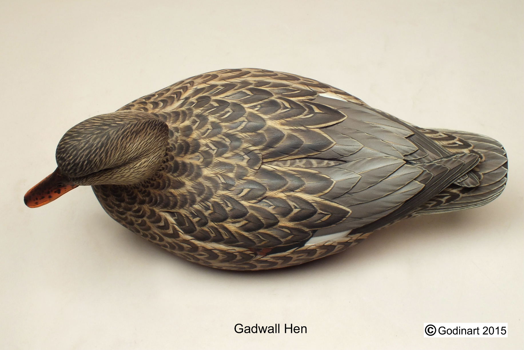 Gadwall Hen Photo Packet - Godin Art