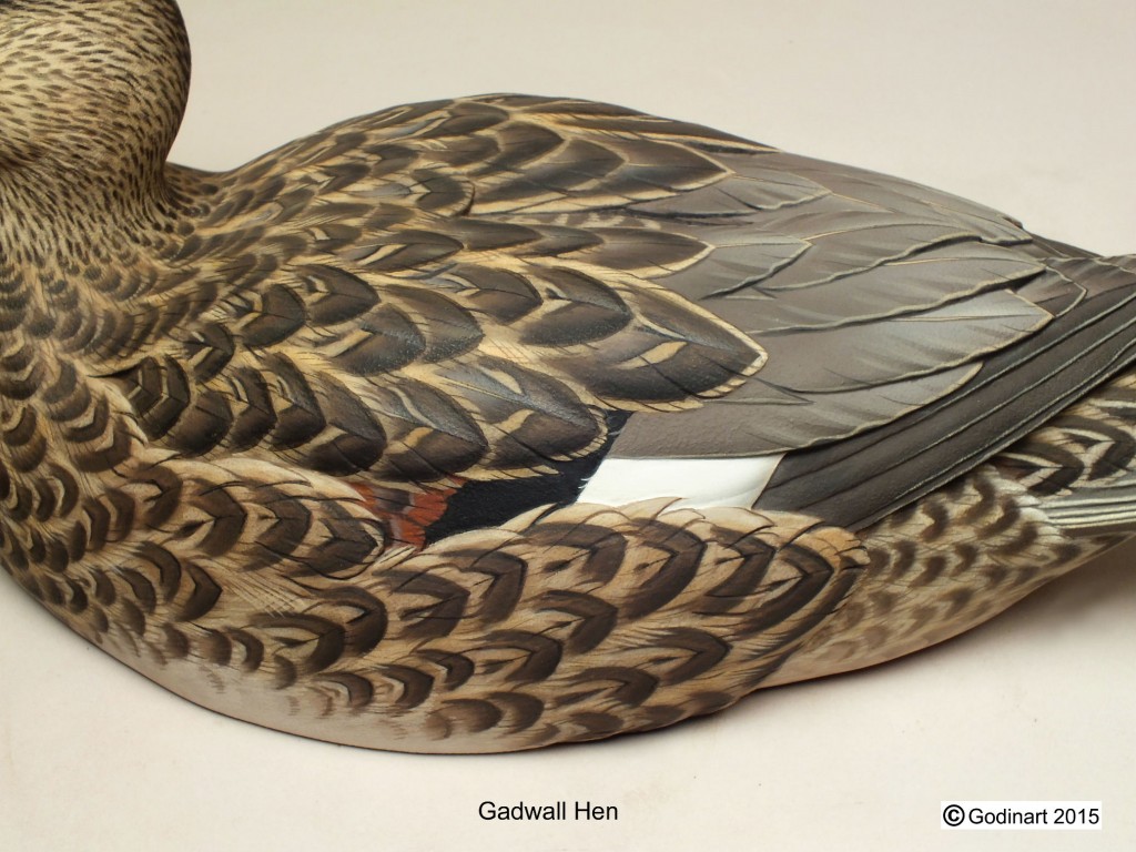 Gadwall Hen Photo Packet - Godin Art