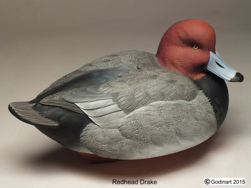 Redhead Drake Photo Packet - Godin Art