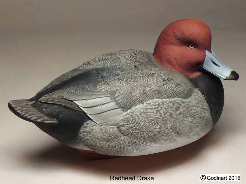Redhead Drake Photo Packet - Godin Art