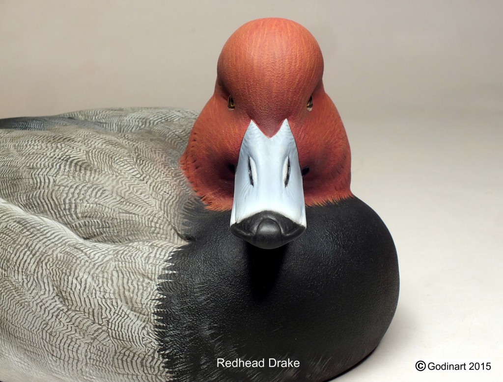 Redhead Drake Photo Packet - Godin Art