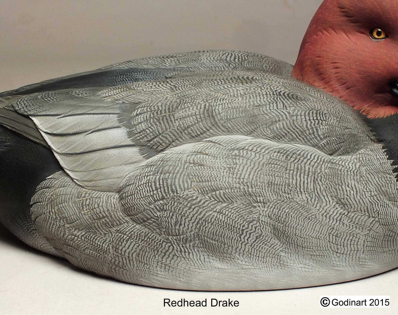 Redhead Drake Photo Packet - Godin Art