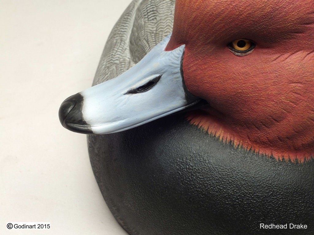 Redhead Drake Photo Packet - Godin Art