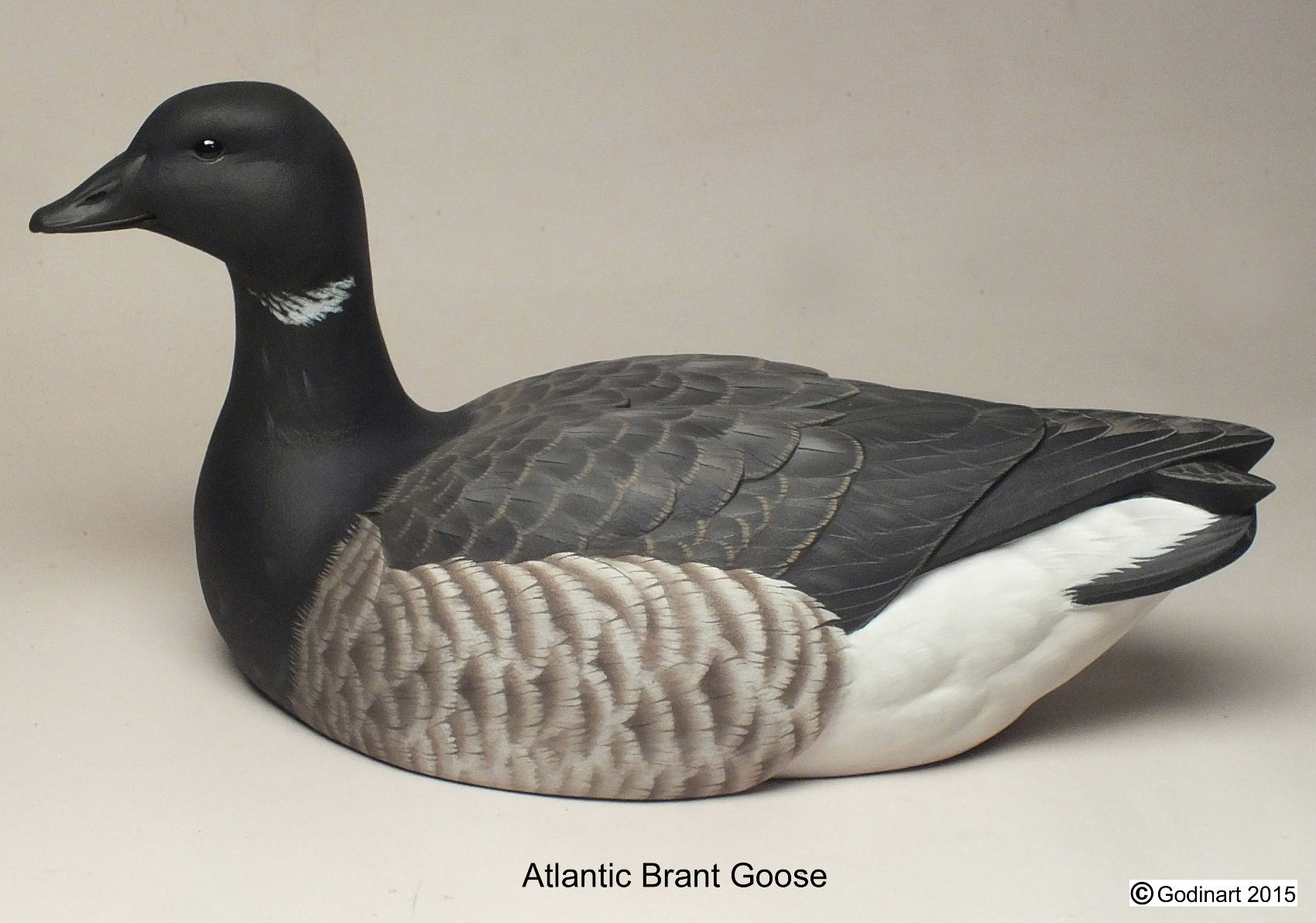 Atlantic Brant Goose Photo Packet - Godin Art