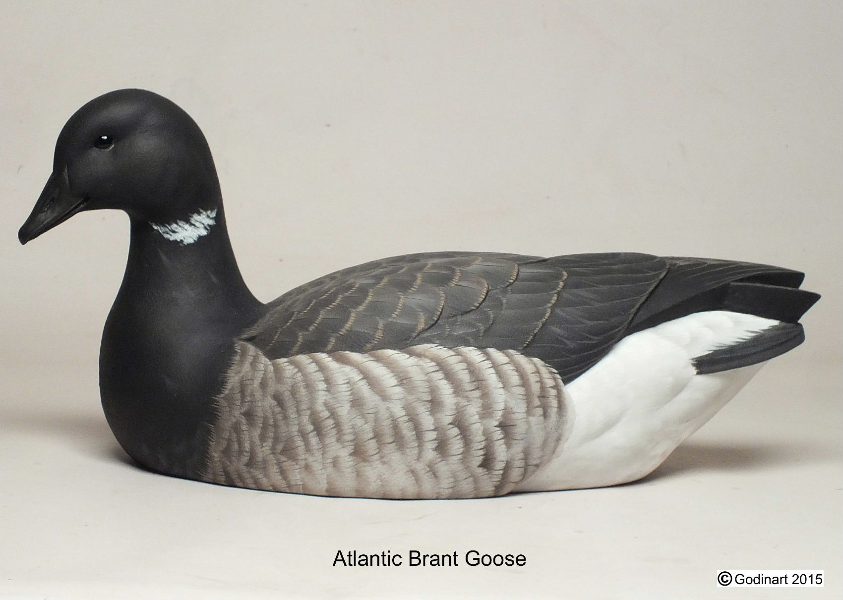 Atlantic Brant Goose Photo Packet - Godin Art
