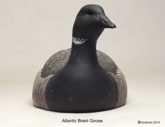 Atlantic Brant Goose Photo Packet - Godin Art