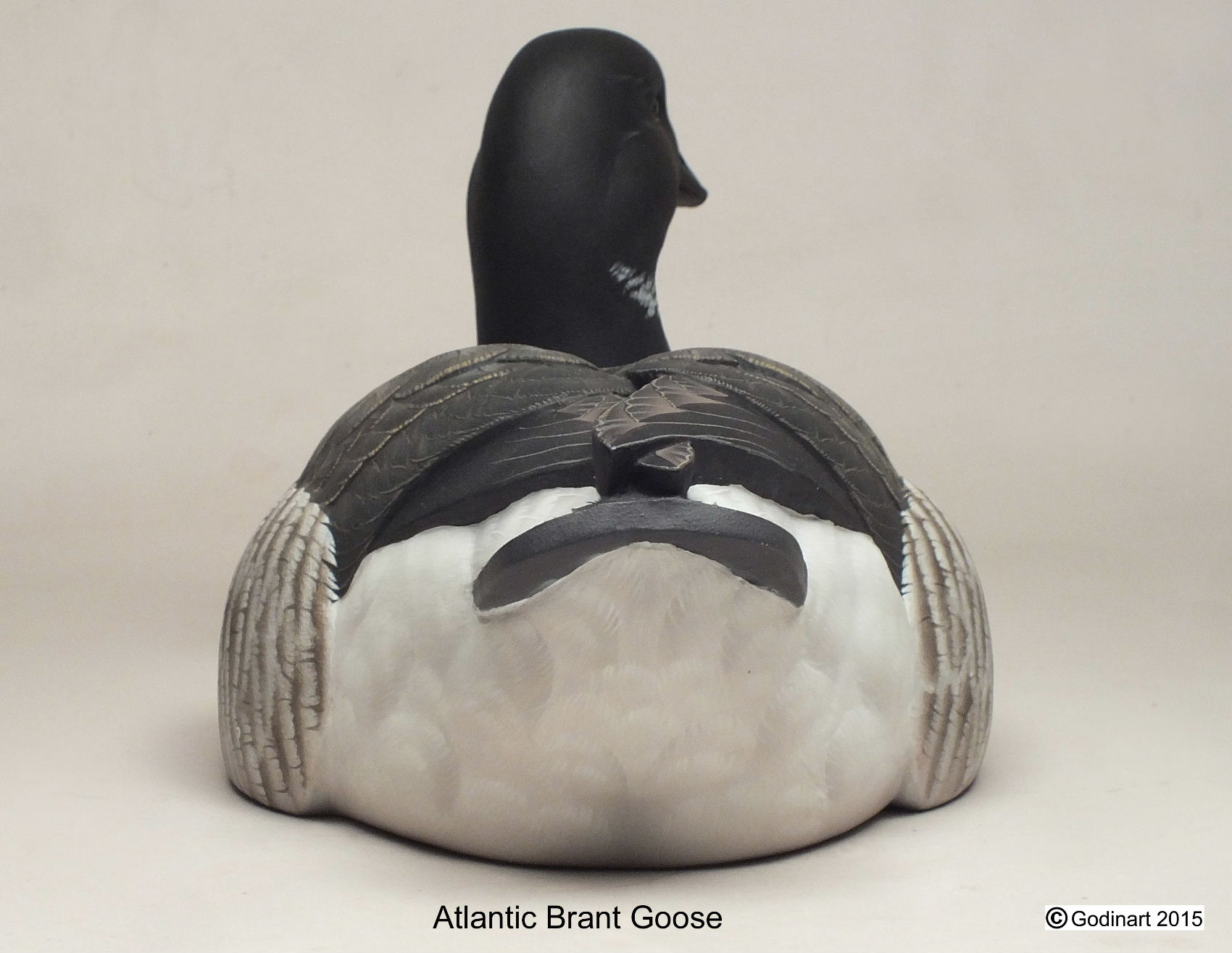 Atlantic Brant Goose Photo Packet - Godin Art