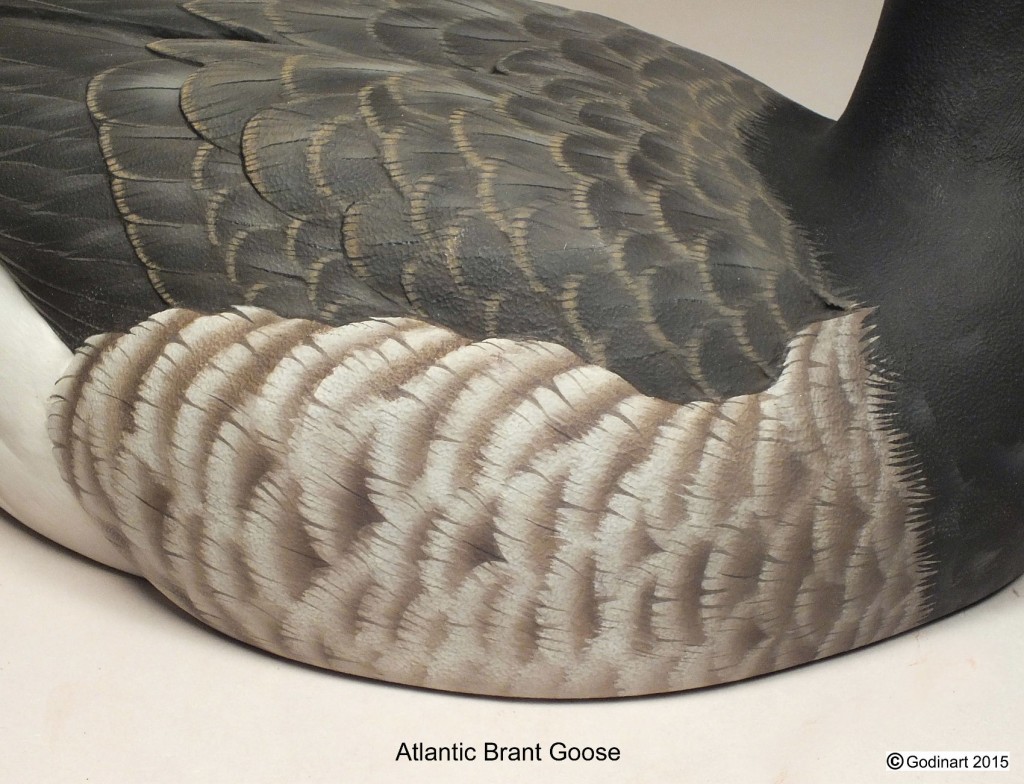 Atlantic Brant Goose Photo Packet - Godin Art