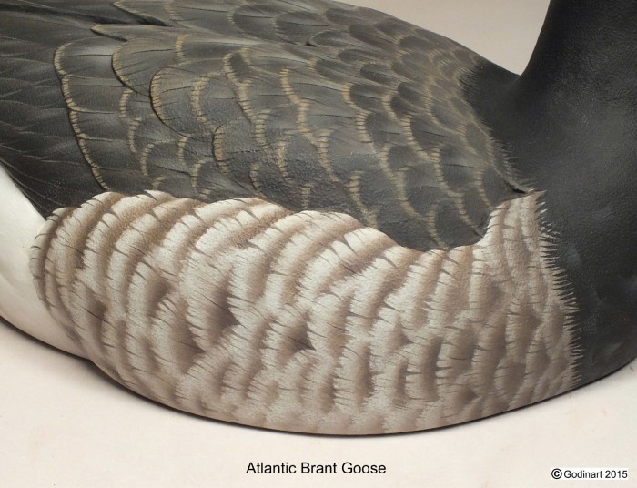 Atlantic Brant Goose Photo Packet - Godin Art