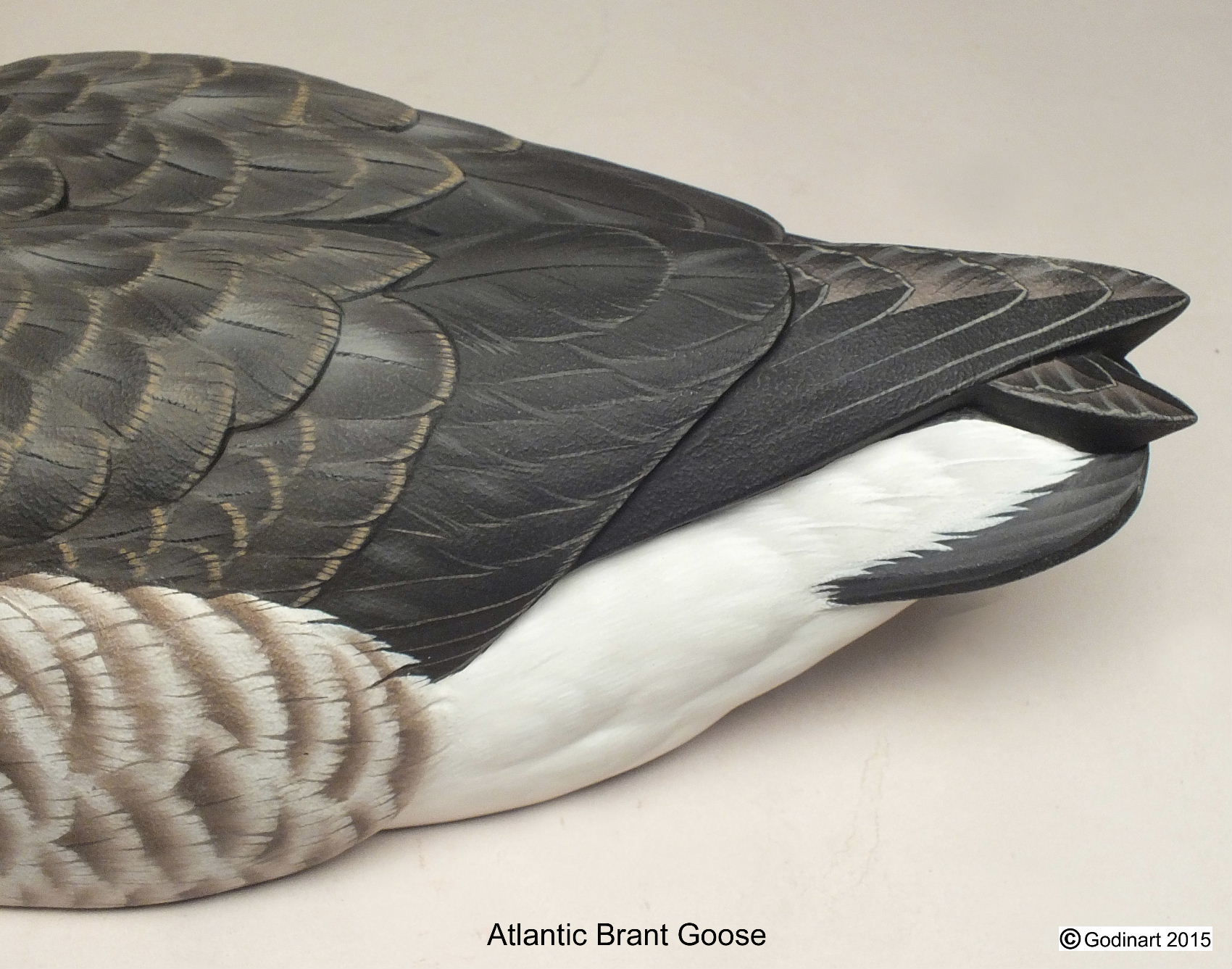 Atlantic Brant Goose Photo Packet - Godin Art