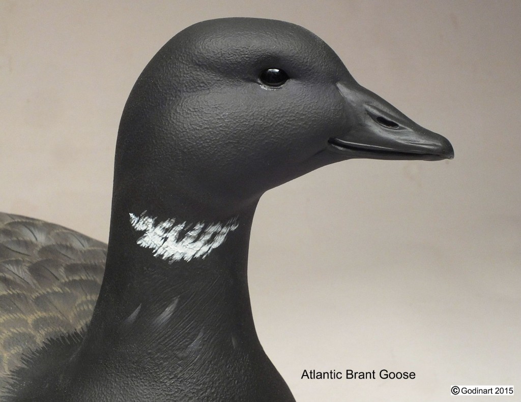 Atlantic Brant Goose Photo Packet - Godin Art