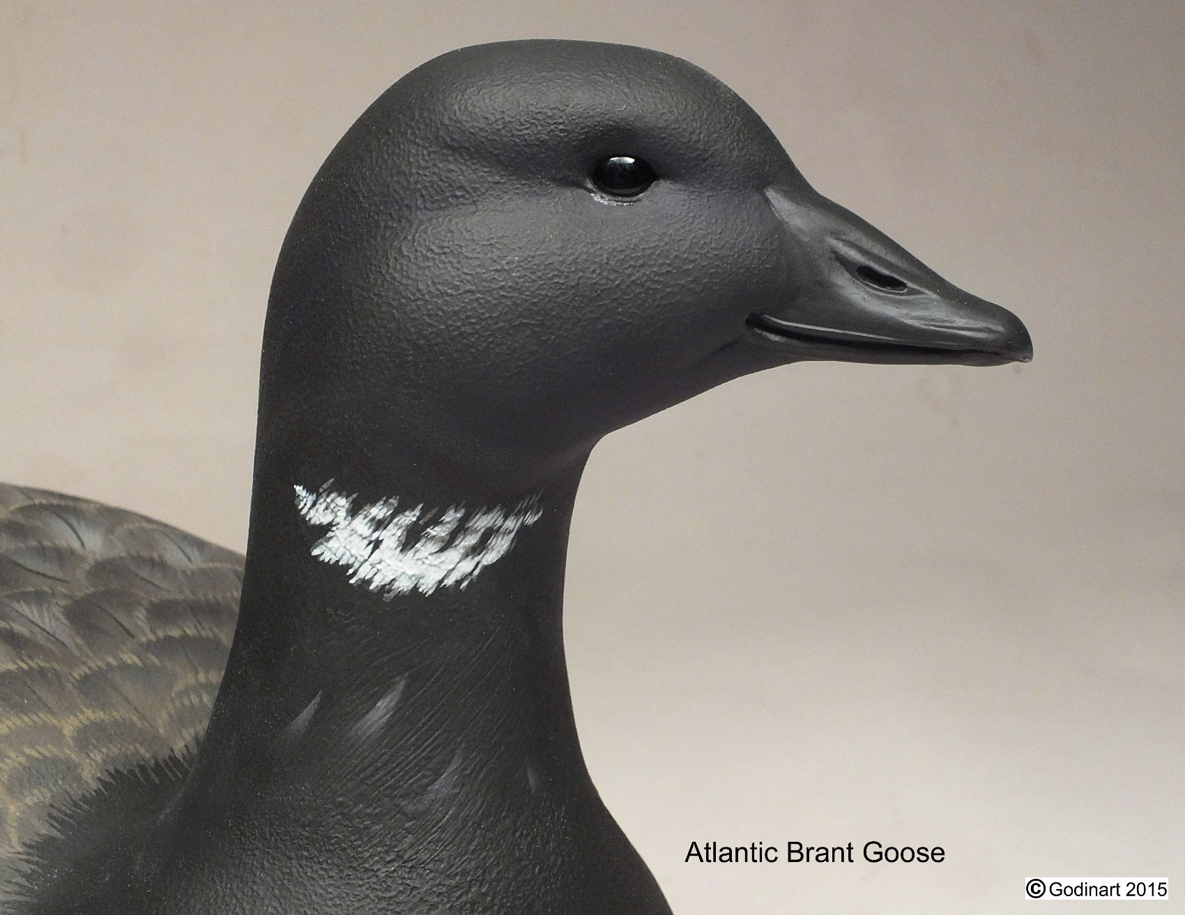 Atlantic Brant Goose Photo Packet - Godin Art