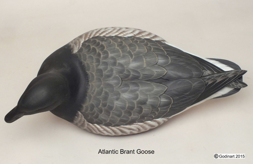Atlantic Brant Goose Photo Packet - Godin Art
