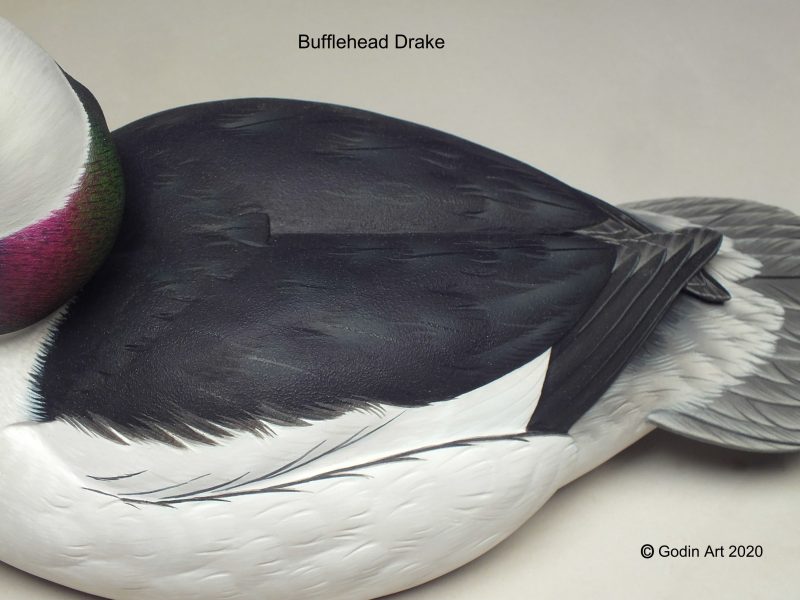 Bufflehead Drake Photo Packet - Godin Art