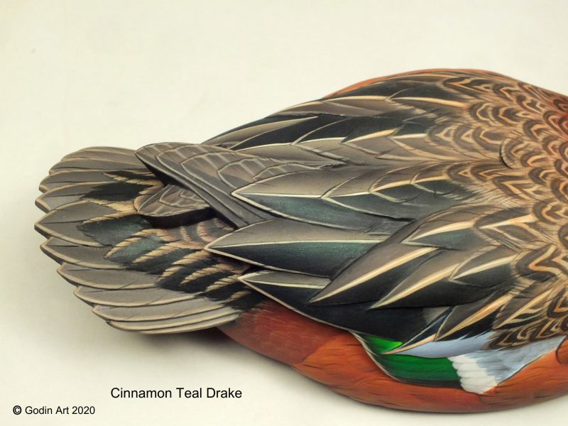 Cinnamon Teal Drake Photo Packet - Godin Art