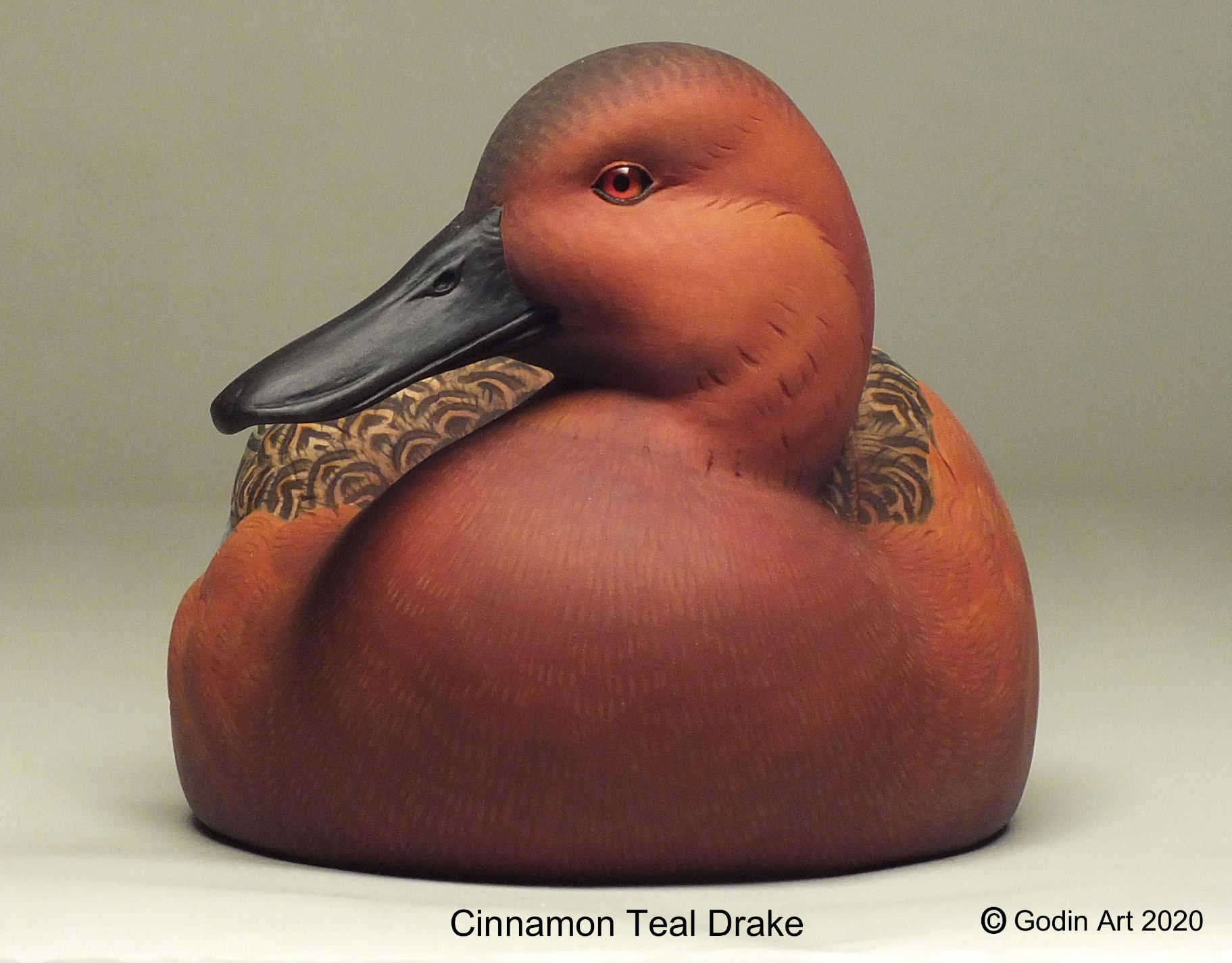 Cinnamon Teal Drake Photo Packet - Godin Art