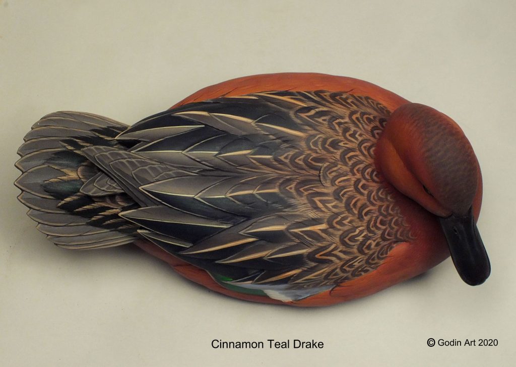 Cinnamon Teal Drake Photo Packet - Godin Art
