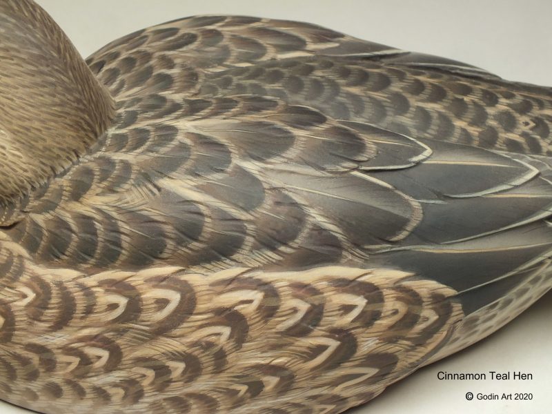 Cinnamon Teal Hen Photo Packet - Godin Art