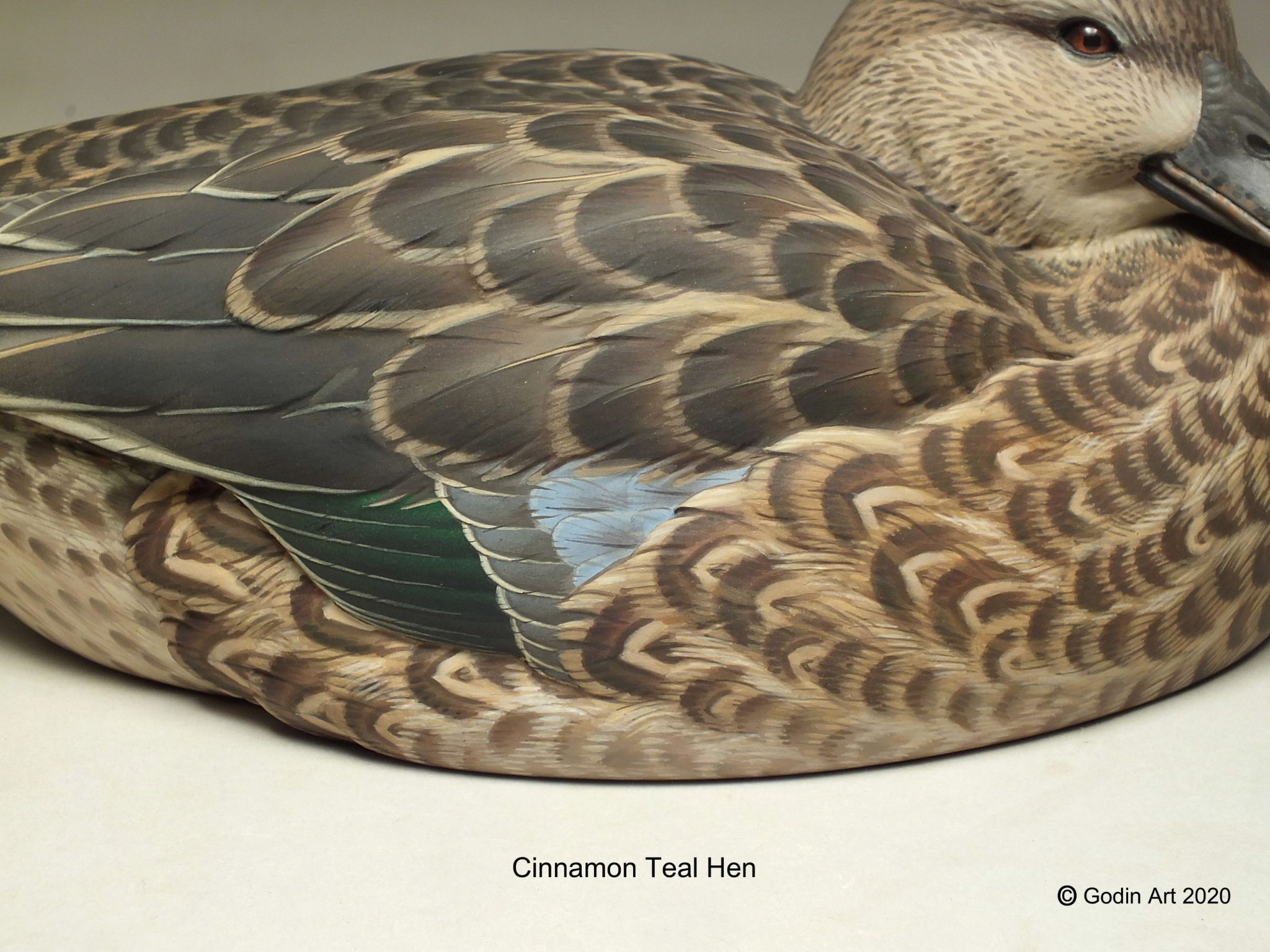 Cinnamon Teal Hen Photo Packet - Godin Art