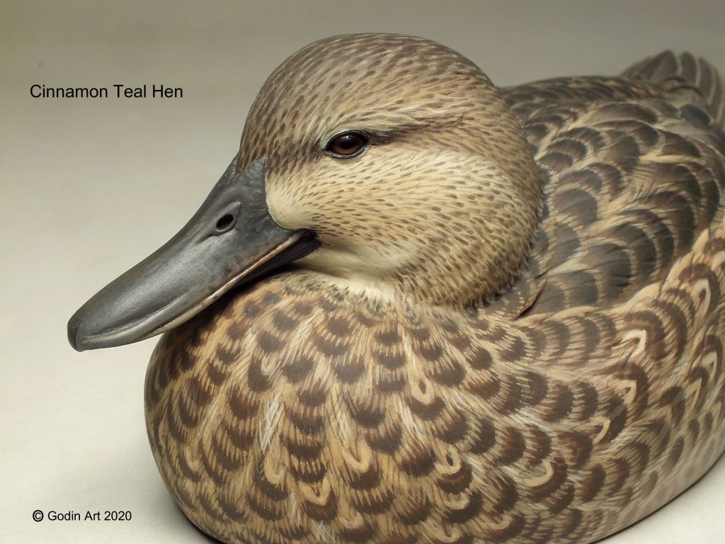 Cinnamon Teal Hen Photo Packet - Godin Art
