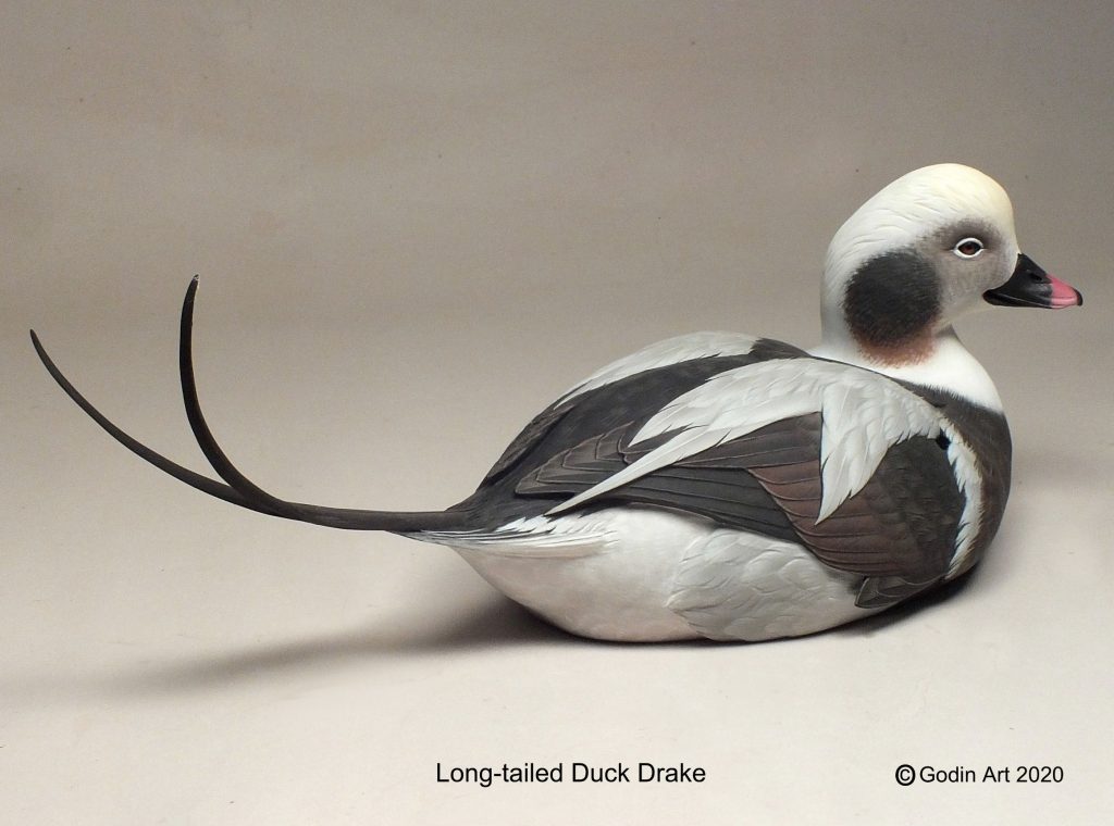 Long-tailed Duck Drake Photo Packet - Godin Art