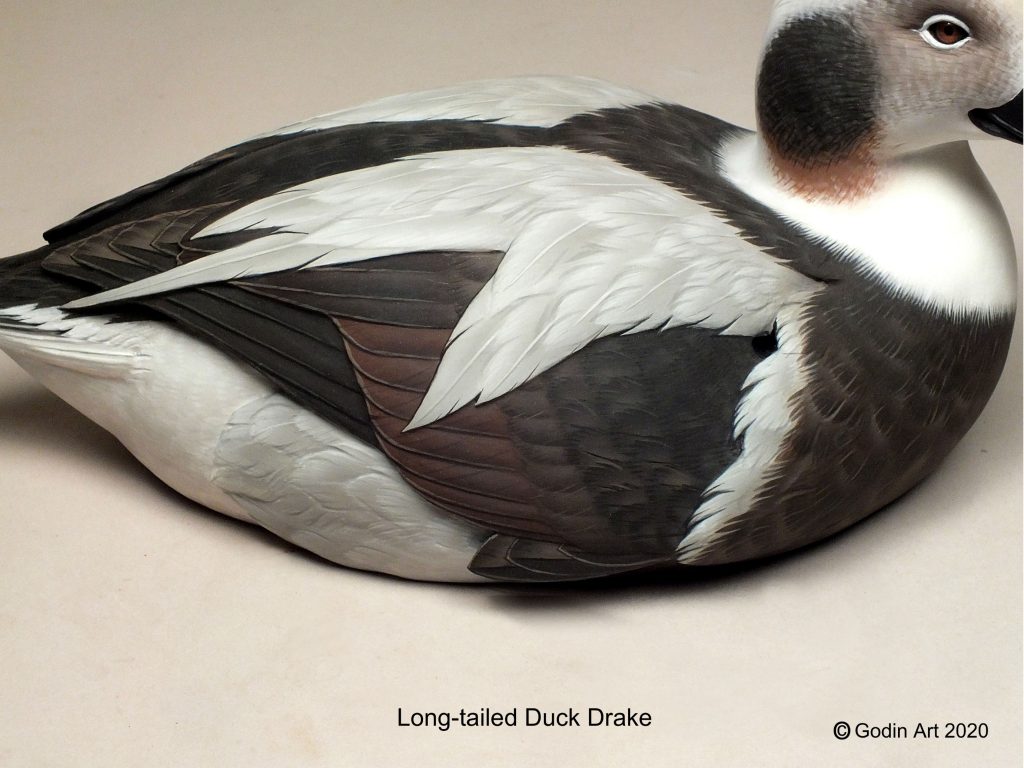 Long-tailed Duck Drake Photo Packet - Godin Art