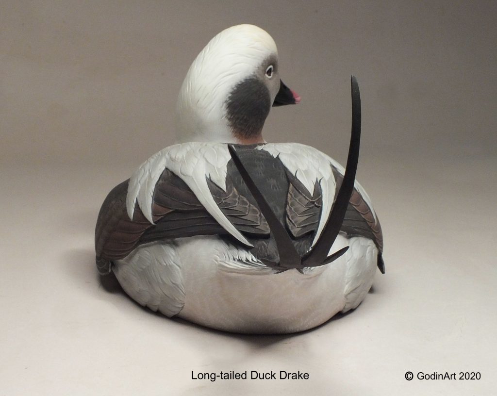 Long-tailed Duck Drake Photo Packet - Godin Art