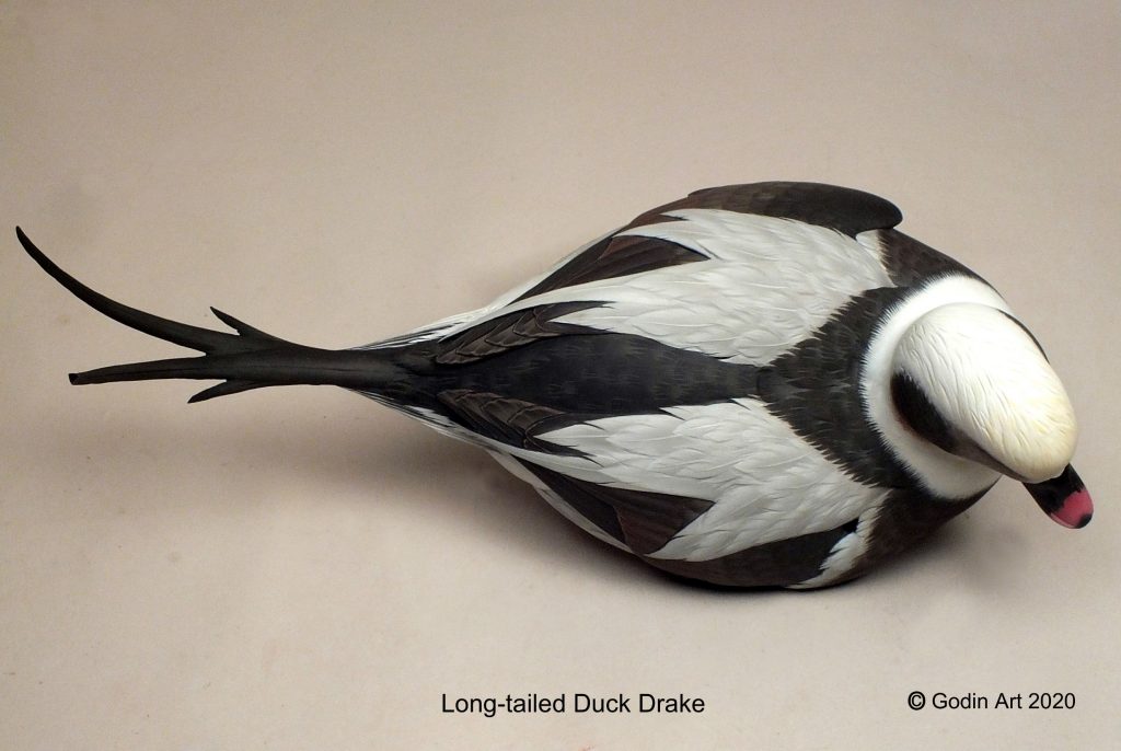 Long-tailed Duck Drake Photo Packet - Godin Art