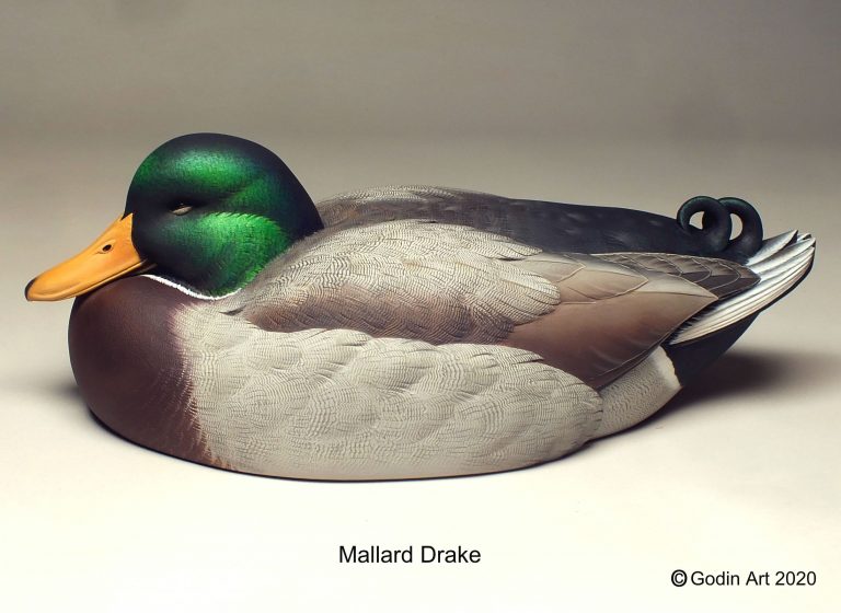 Mallard Drake Photo Packet - Godin Art