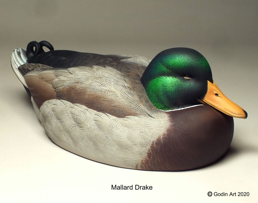 Mallard Drake Photo Packet - Godin Art